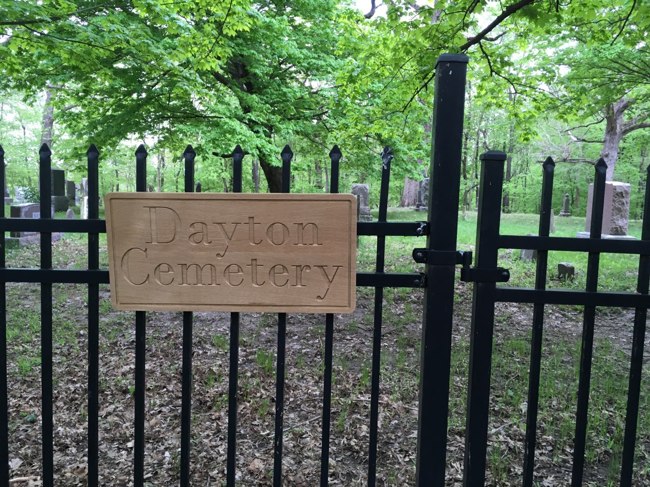 Blog – Dayton and the Greens