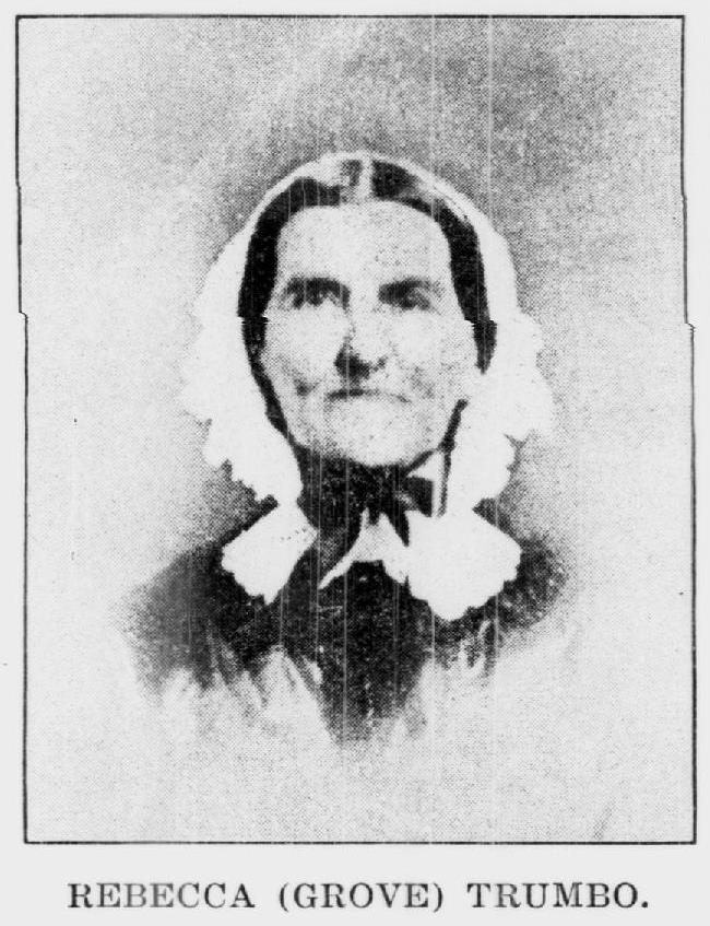 Blog – Dayton and the Greens